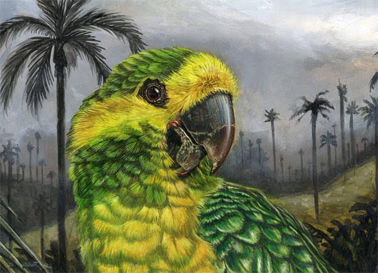 Mito de Mboí-Tuí - Mitos argentinos cortos