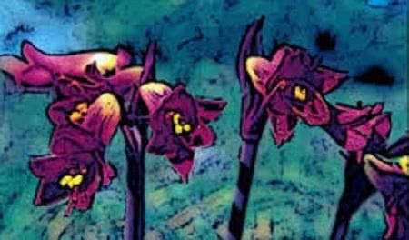 Mitos chilenos cortos - Ejemplos de Mitos chilenos